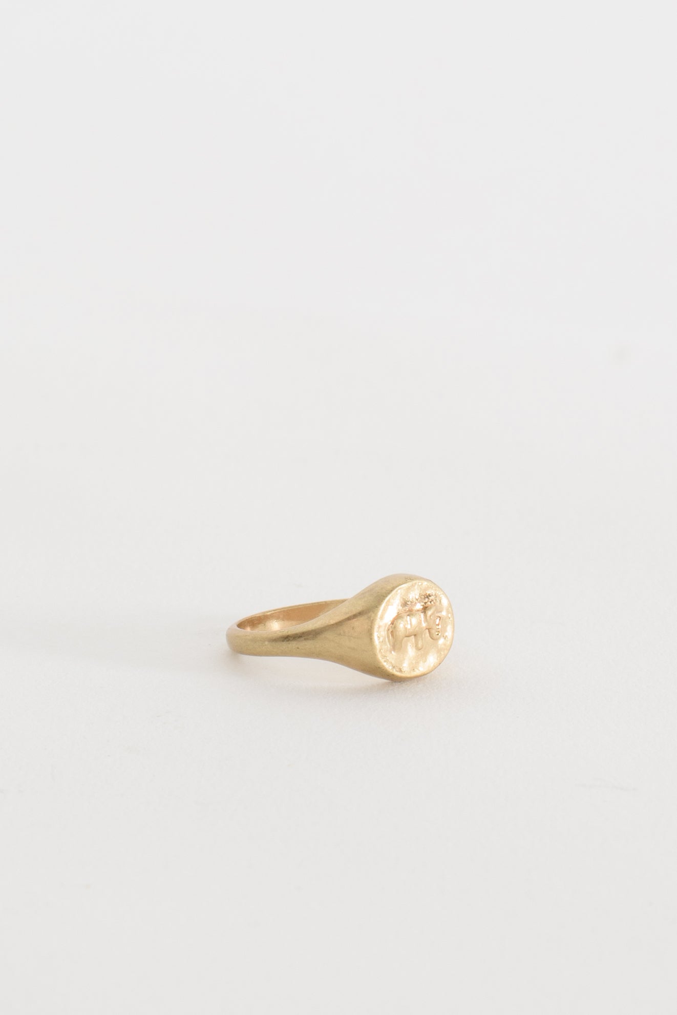 Guardian of Wisdom Ring – Vintage Elegance with Timeless Strength – Everri